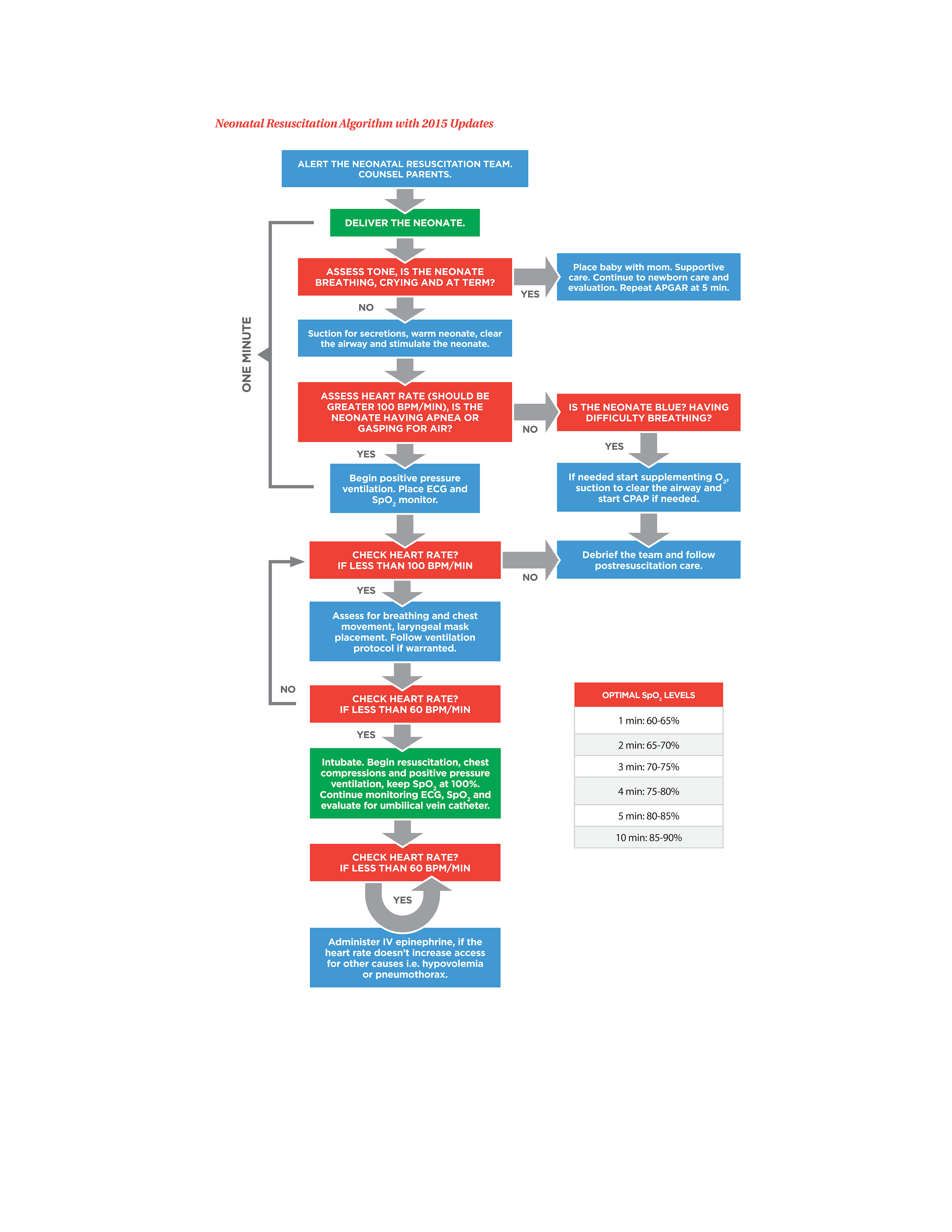 Neonatal Resuscitation Algorithm 2017 Part 4: Pediatric Basic And